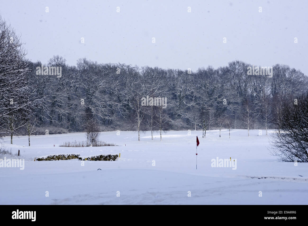 Snowy golf course in germany Stock Photo - Alamy