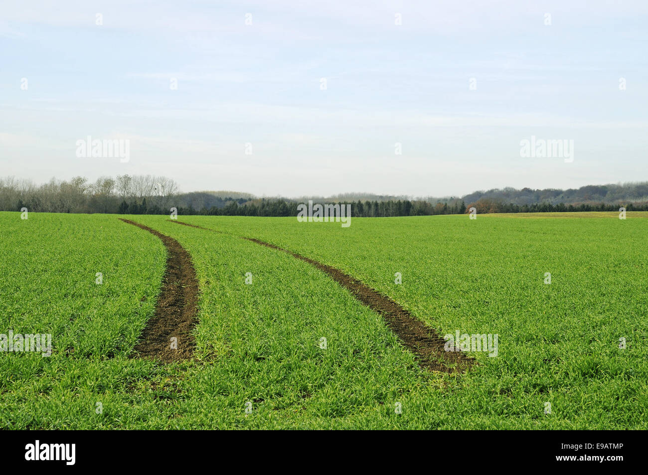 Tracks photos hi-res stock photography and images - Alamy