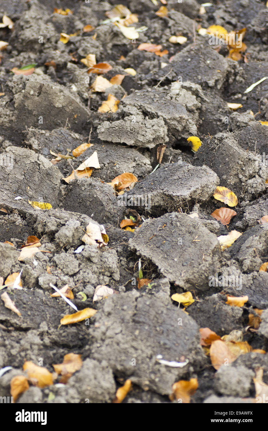 Digged hi-res stock photography and images - Alamy