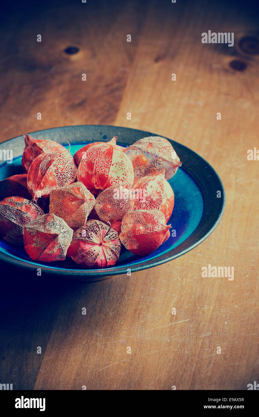 Physalis alkekengi. Drying Chinese lantern flower seed casing in a bowl ...