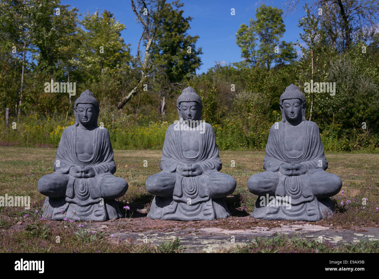 Three Buddha statues on a lawn Stock Photo - Alamy
