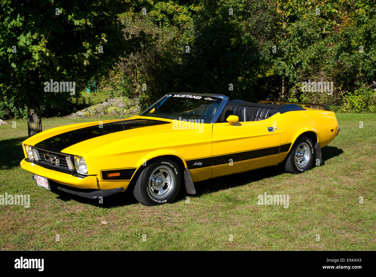 73 Mustang Mach 1 Convertible