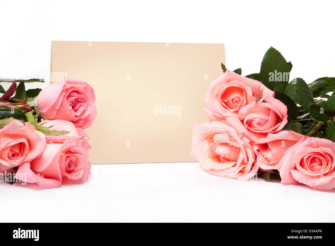 blank card for congratulations with roses Stock Photo - Alamy