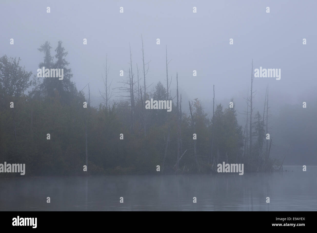 Misty lake hi-res stock photography and images - Alamy