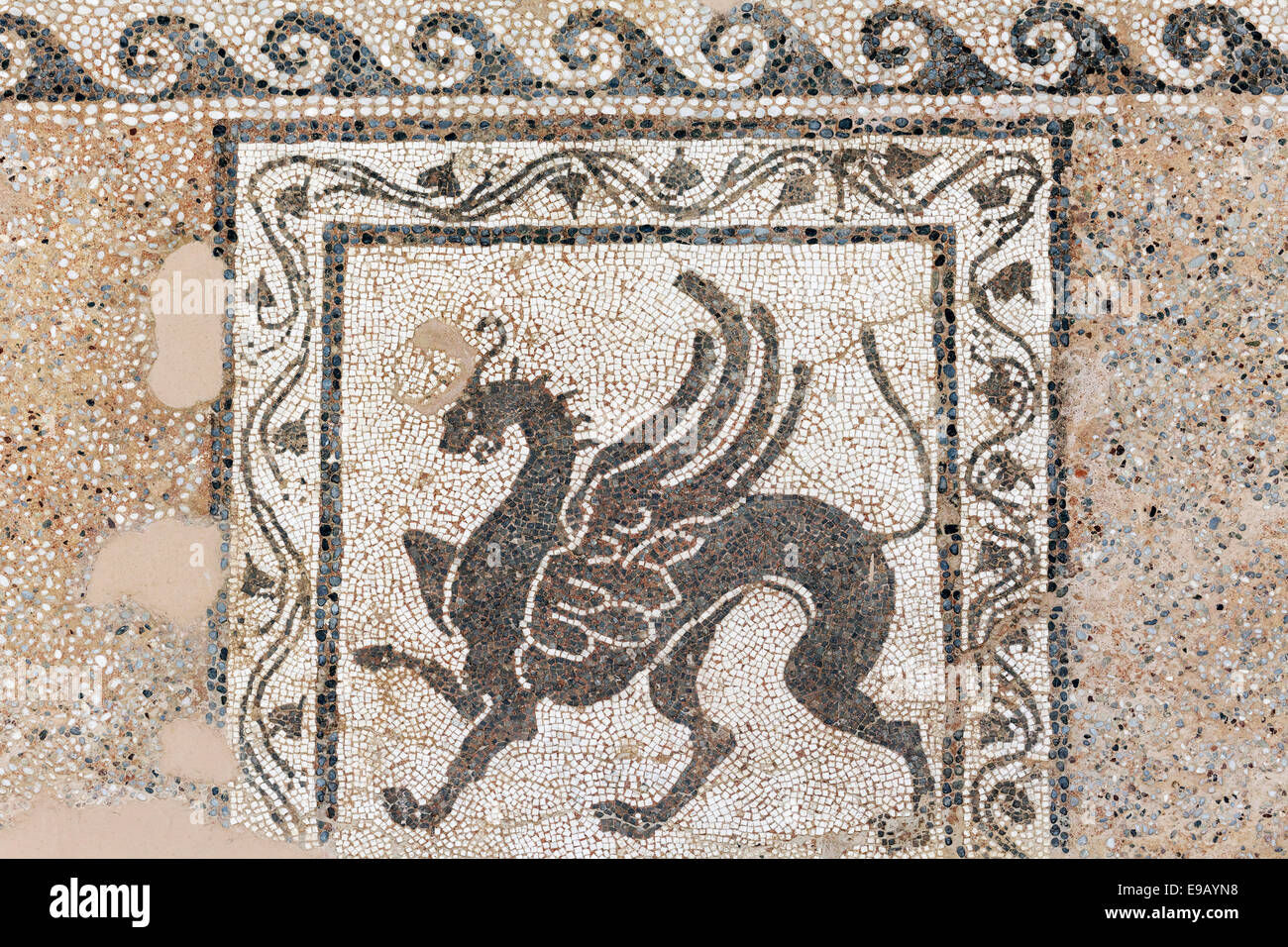 Griffin, floor mosaic made of cut stones, Opus tessellatum ...