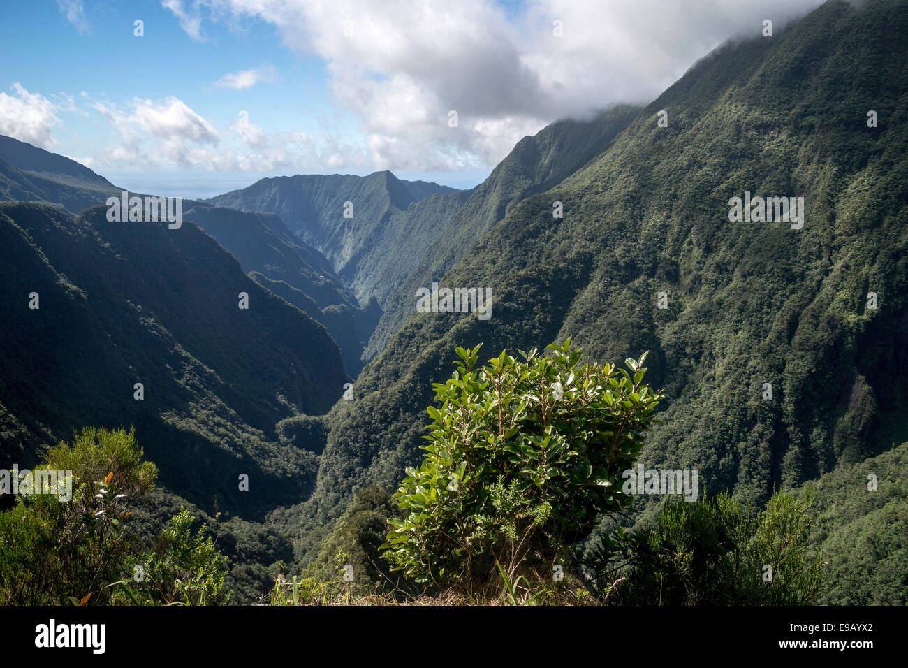 Clouds above Takamaka Gorge, Cassée de Takamaka, Reunion Stock Photo ...