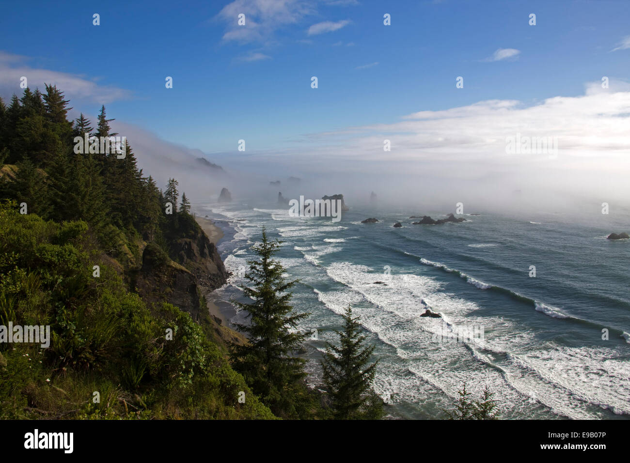 Sea, surf, waves, fog, coast, near Brandon, Oregon, United States Stock ...