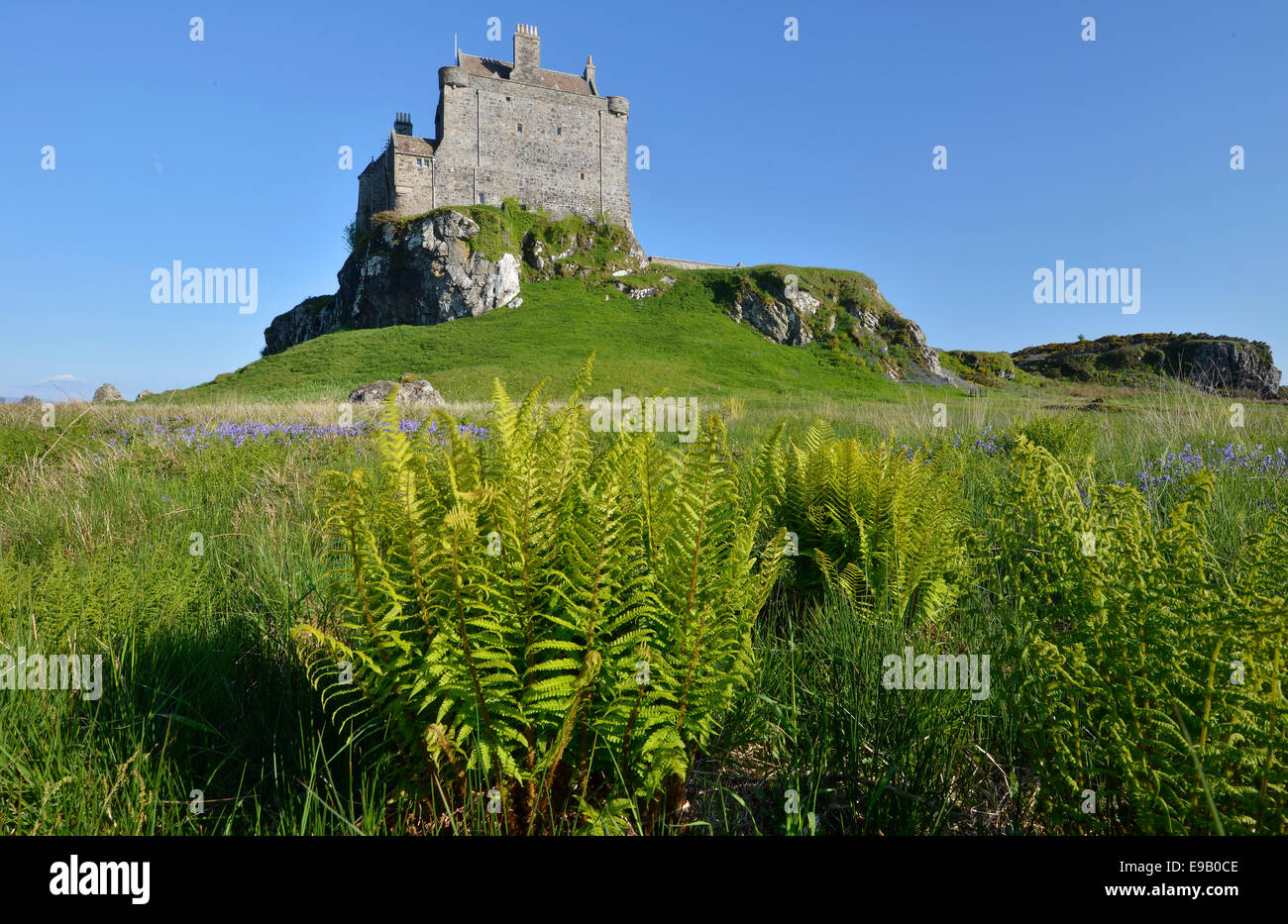Duart Castle or Caisteal Dhubhairt, seat of the Clan MacLean, Isle of ...