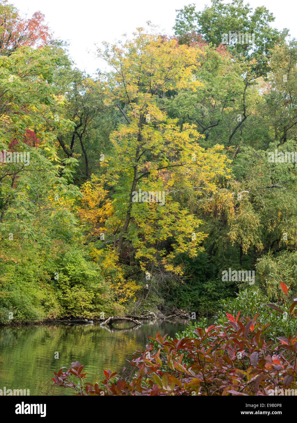 Central Park in the Fall, NYC Stock Photo - Alamy