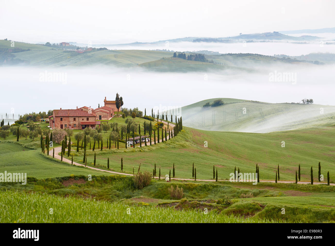 Fog in the valleys at Podere Baccoleno, Chiusure, Arbia, Tuscany, Italy ...