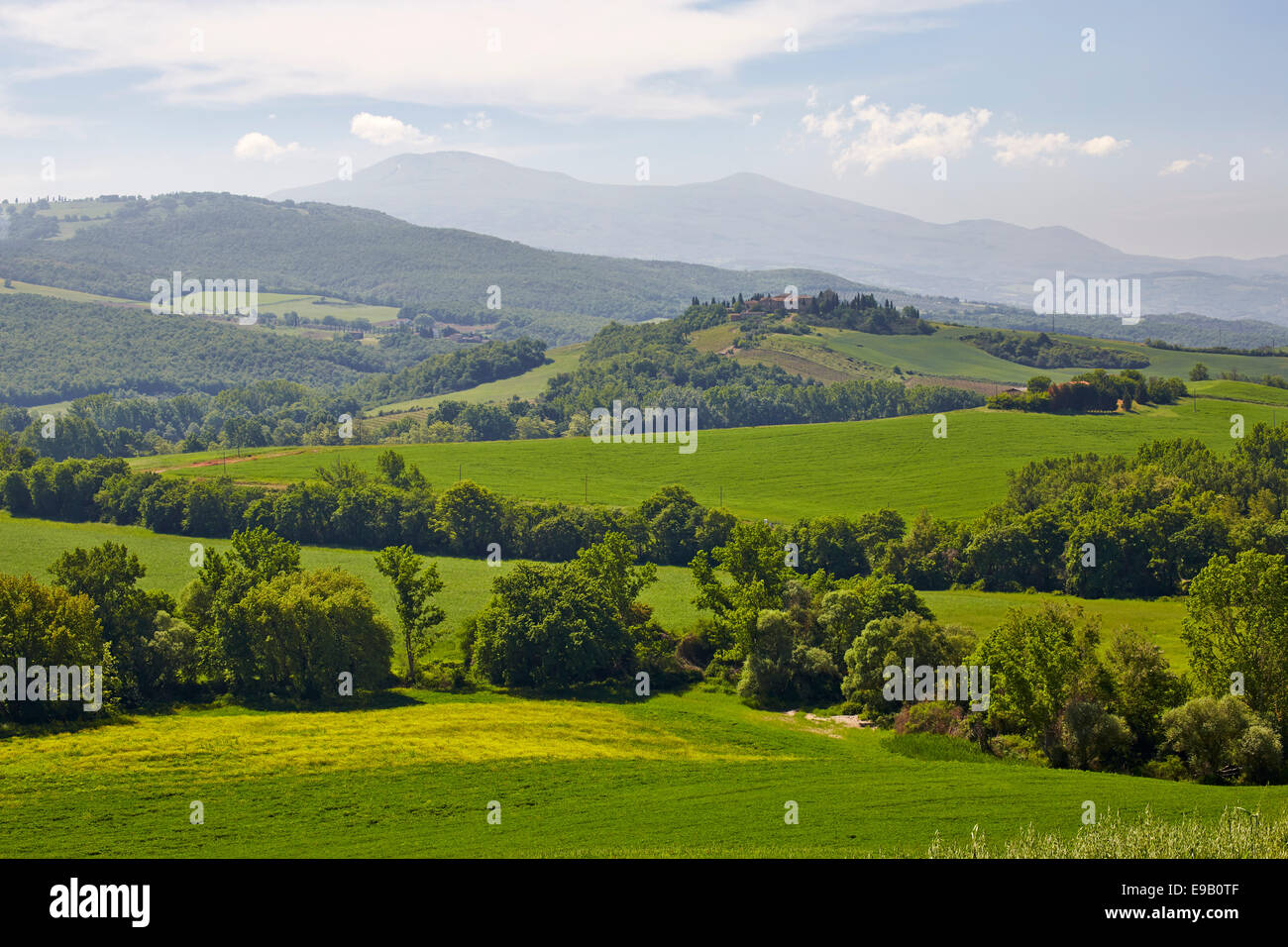 Hilly landscape of the Crete Senesi, Torrenieri, Tuscany, Italy Stock ...