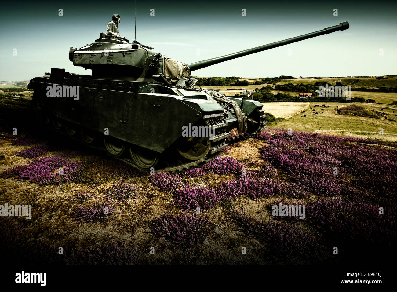 Centurion Tank Headon Warren, Gorse, Alum Bay, The Needles, Isle of ...