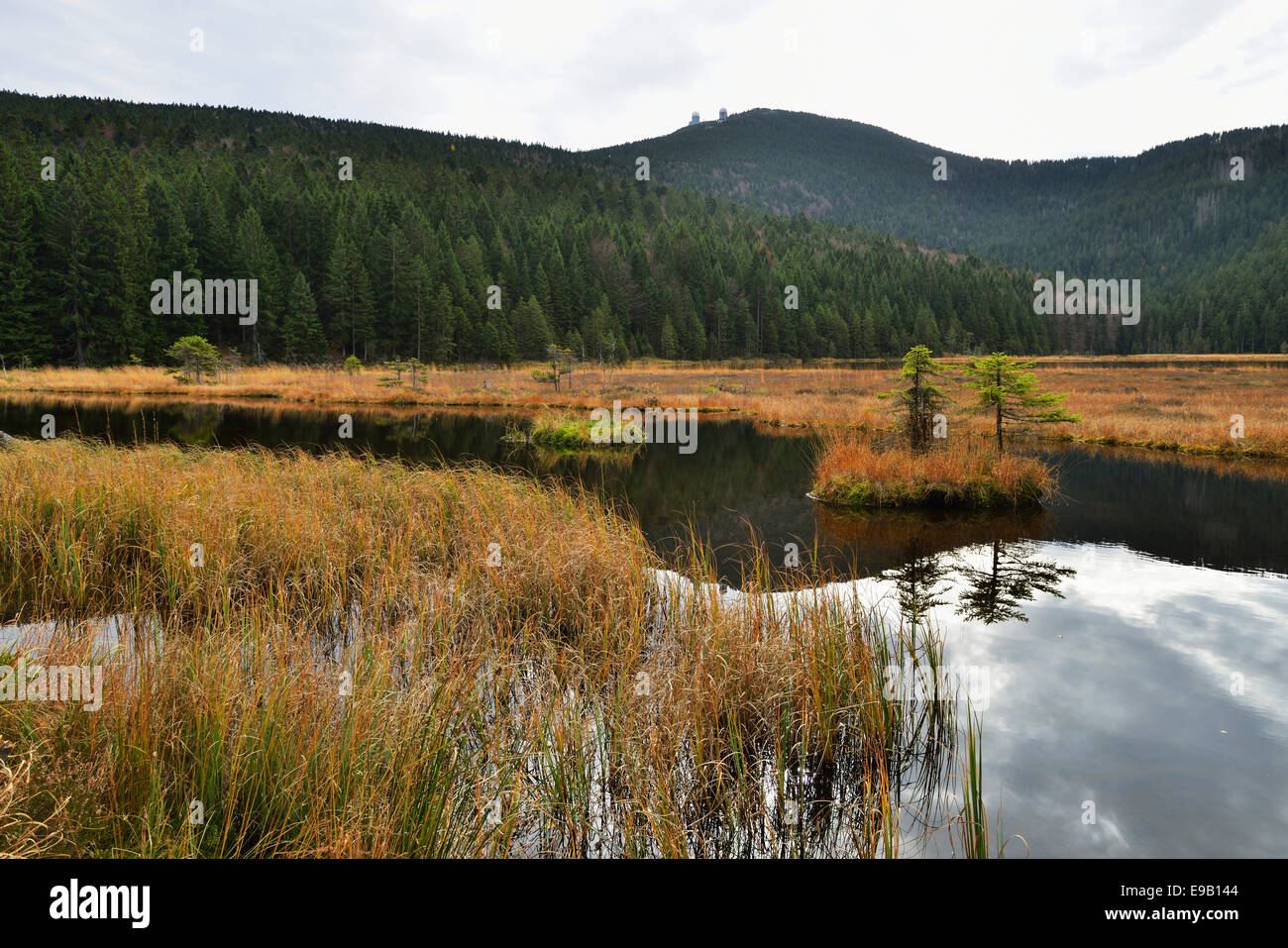 Autumn in the Naturschutzgebiet Kleiner Arbersee nature reserve ...