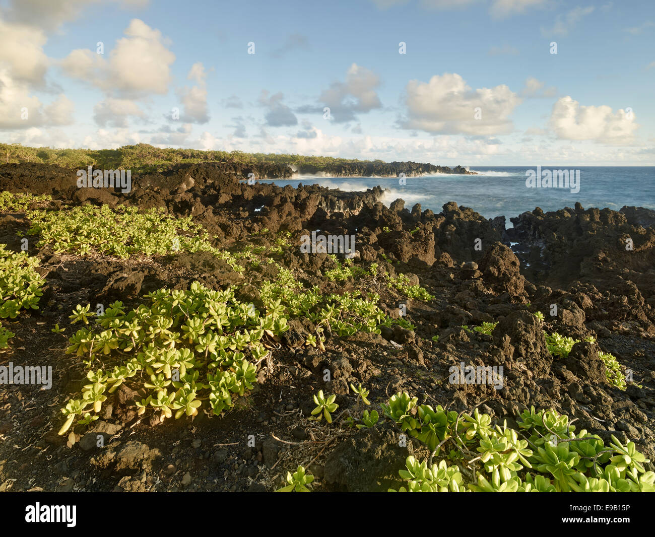 Bay at hana coast hi-res stock photography and images - Alamy