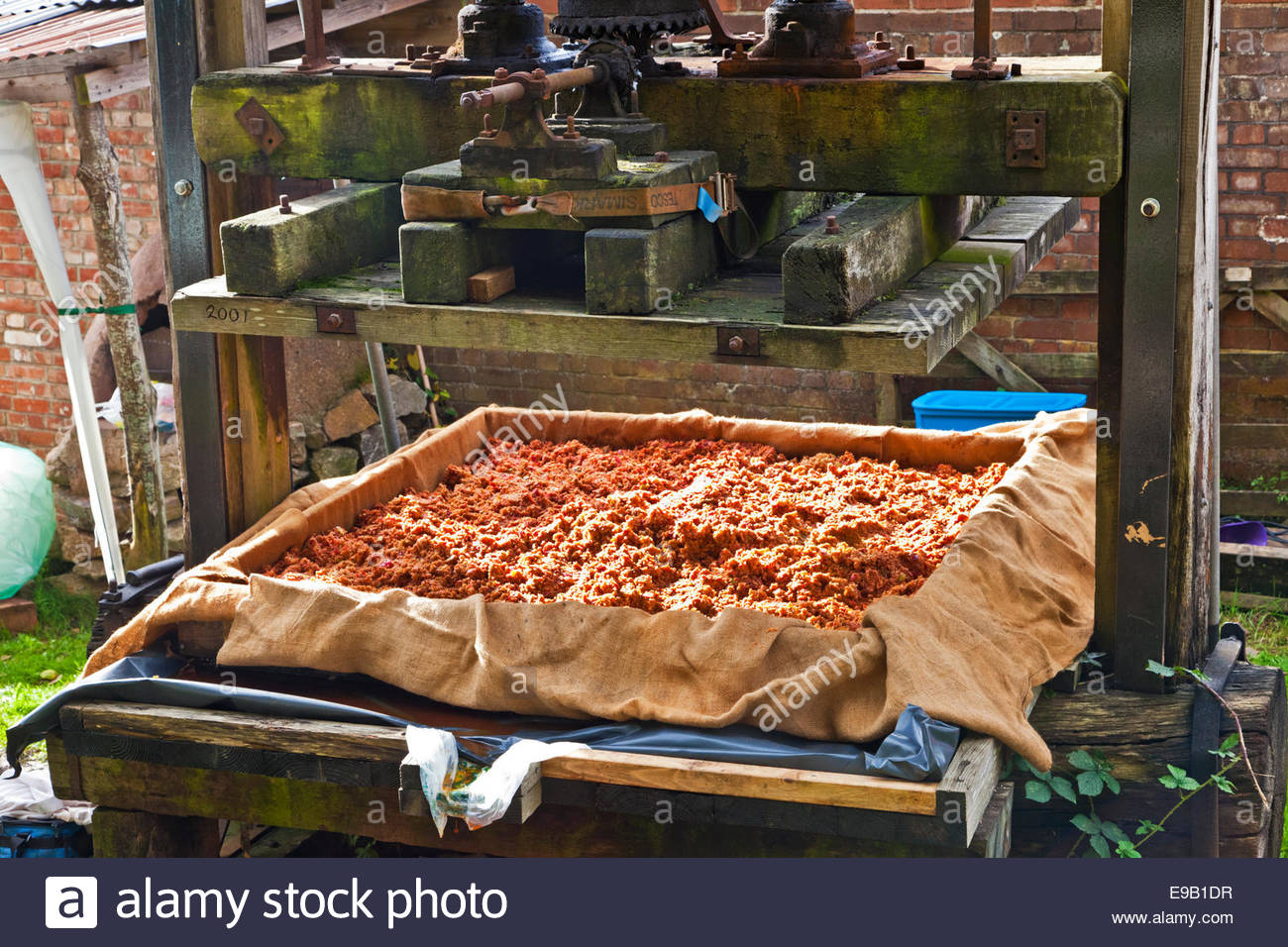 Cider Making Devon High Resolution Stock Photography and Images - Alamy