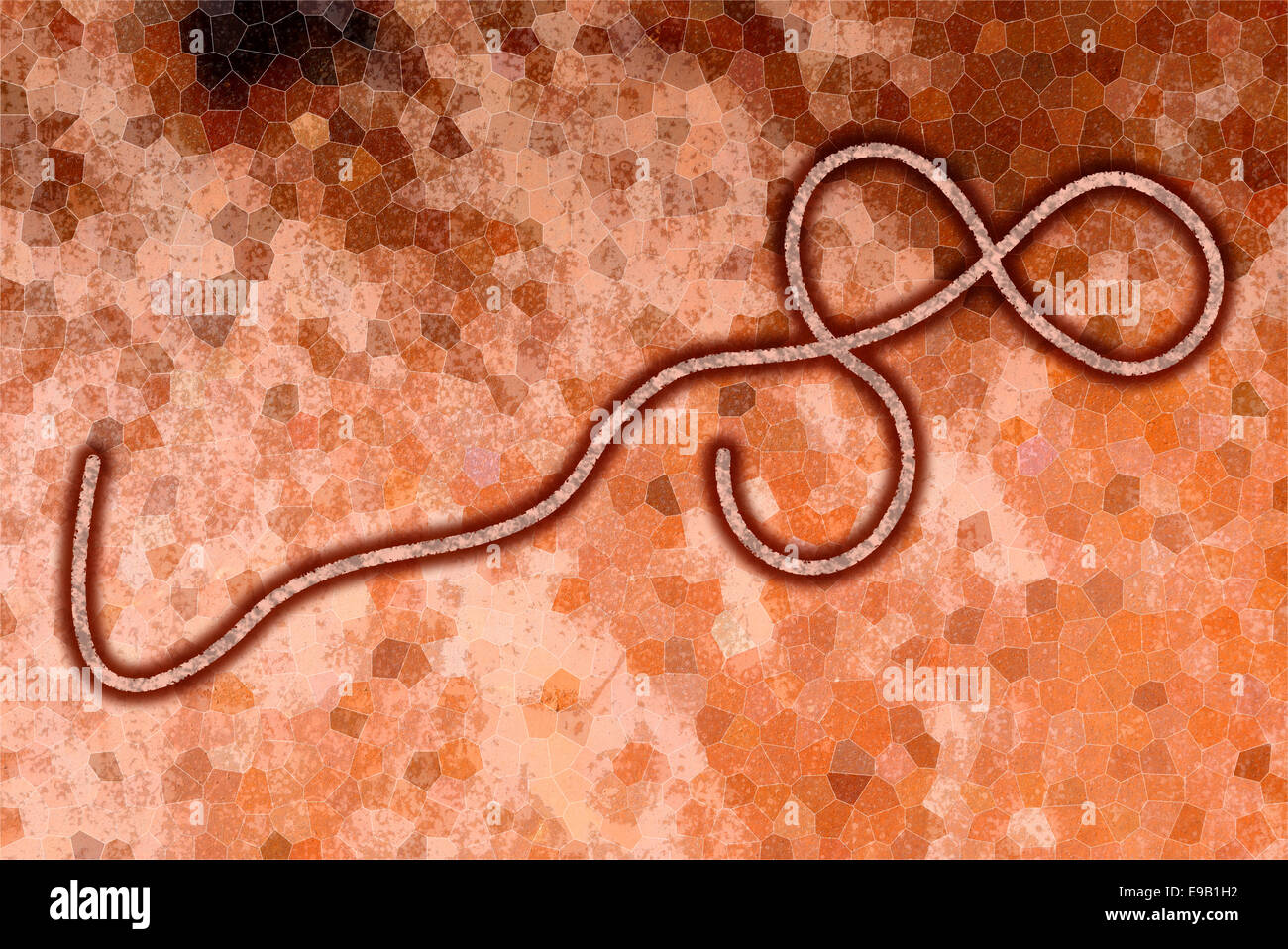 Graphic representation of the Ebola virus on orange background Stock ...