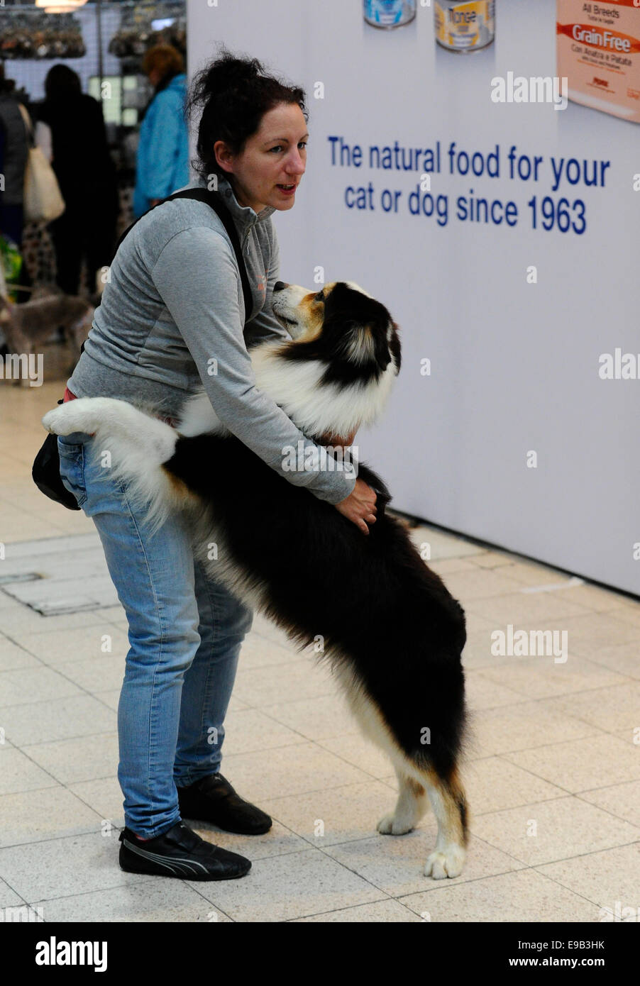 Brno, Czech Republic. 23rd Oct, 2014. The European Dog Show for dogs of ...