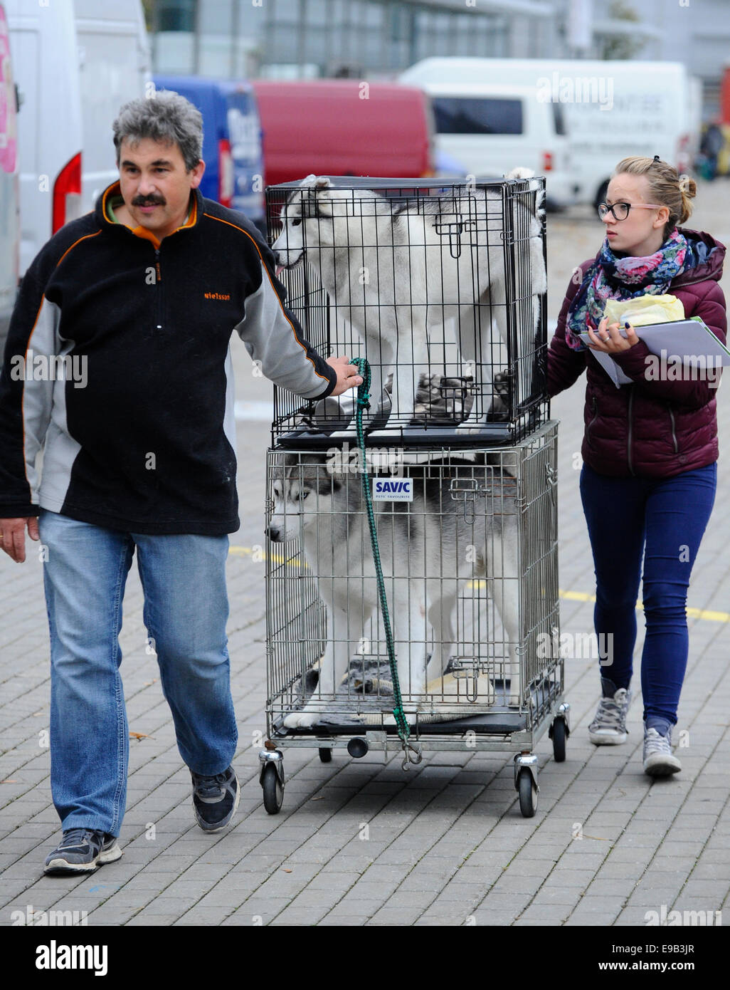 Brno, Czech Republic. 23rd Oct, 2014. The European Dog Show for dogs of ...