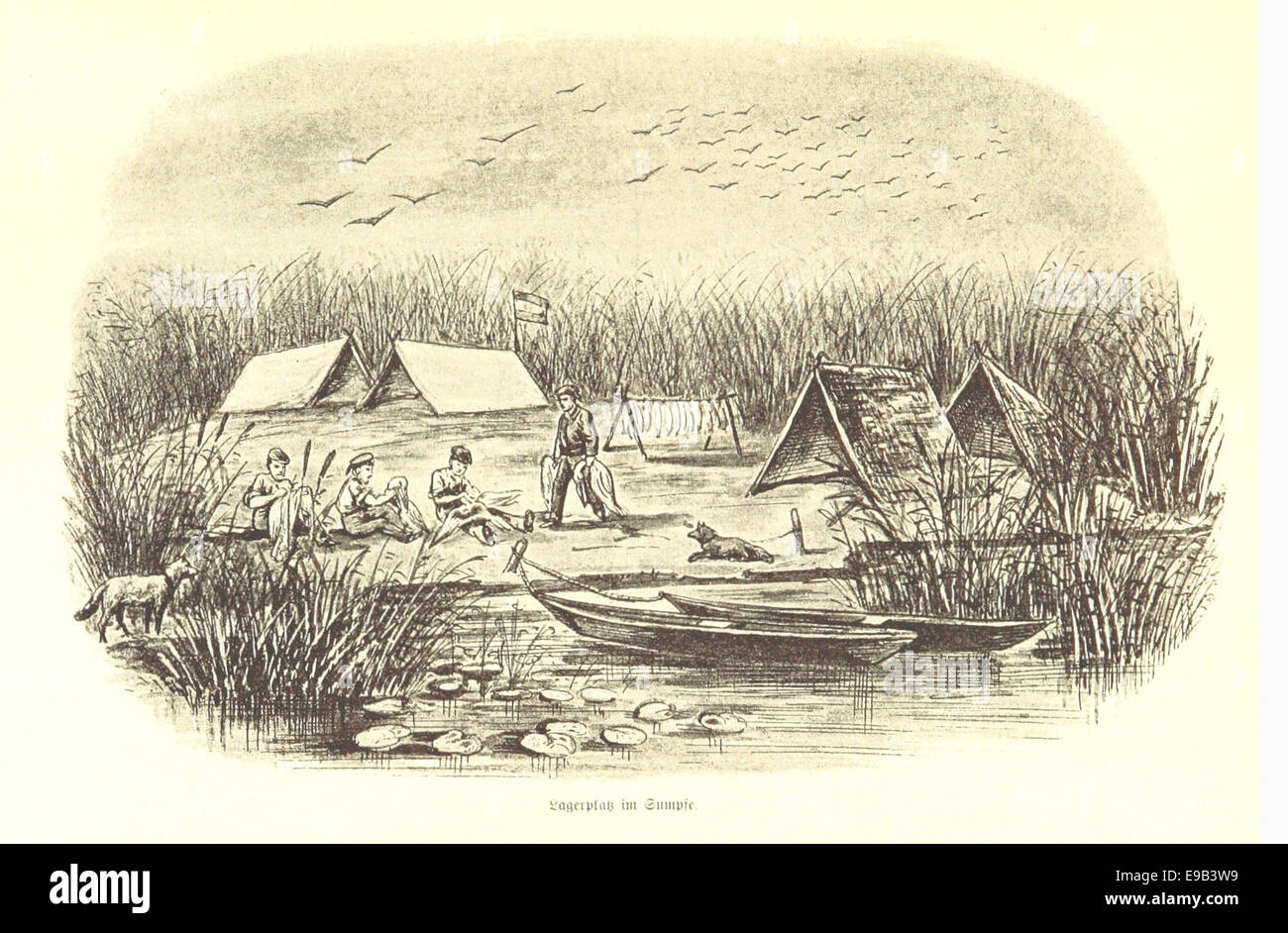 Lagerplatz im Sumpfe Stock Photo - Alamy