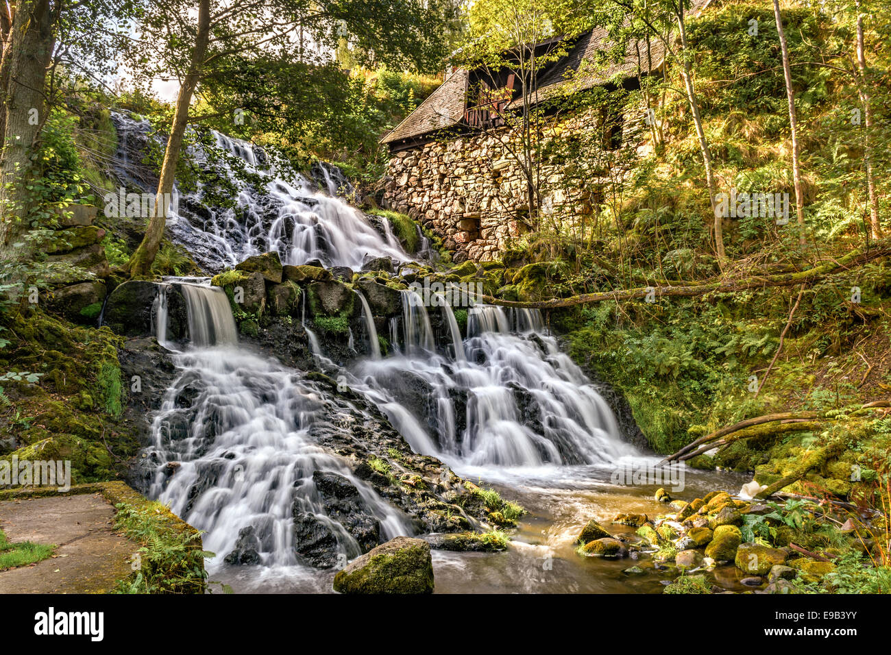Falls mill stream in hi-res stock photography and images - Alamy