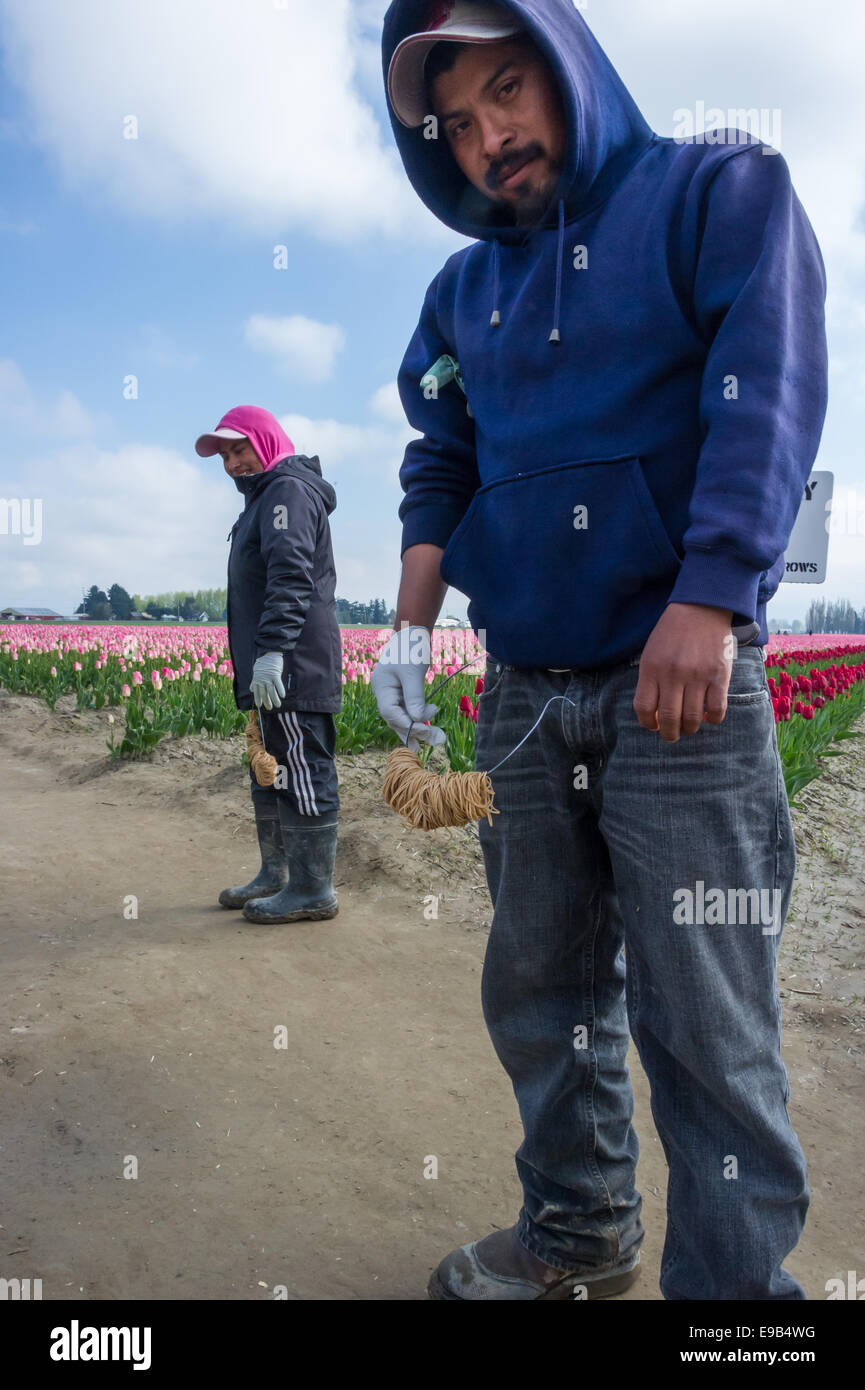 Foreign farm workers hi-res stock photography and images - Alamy
