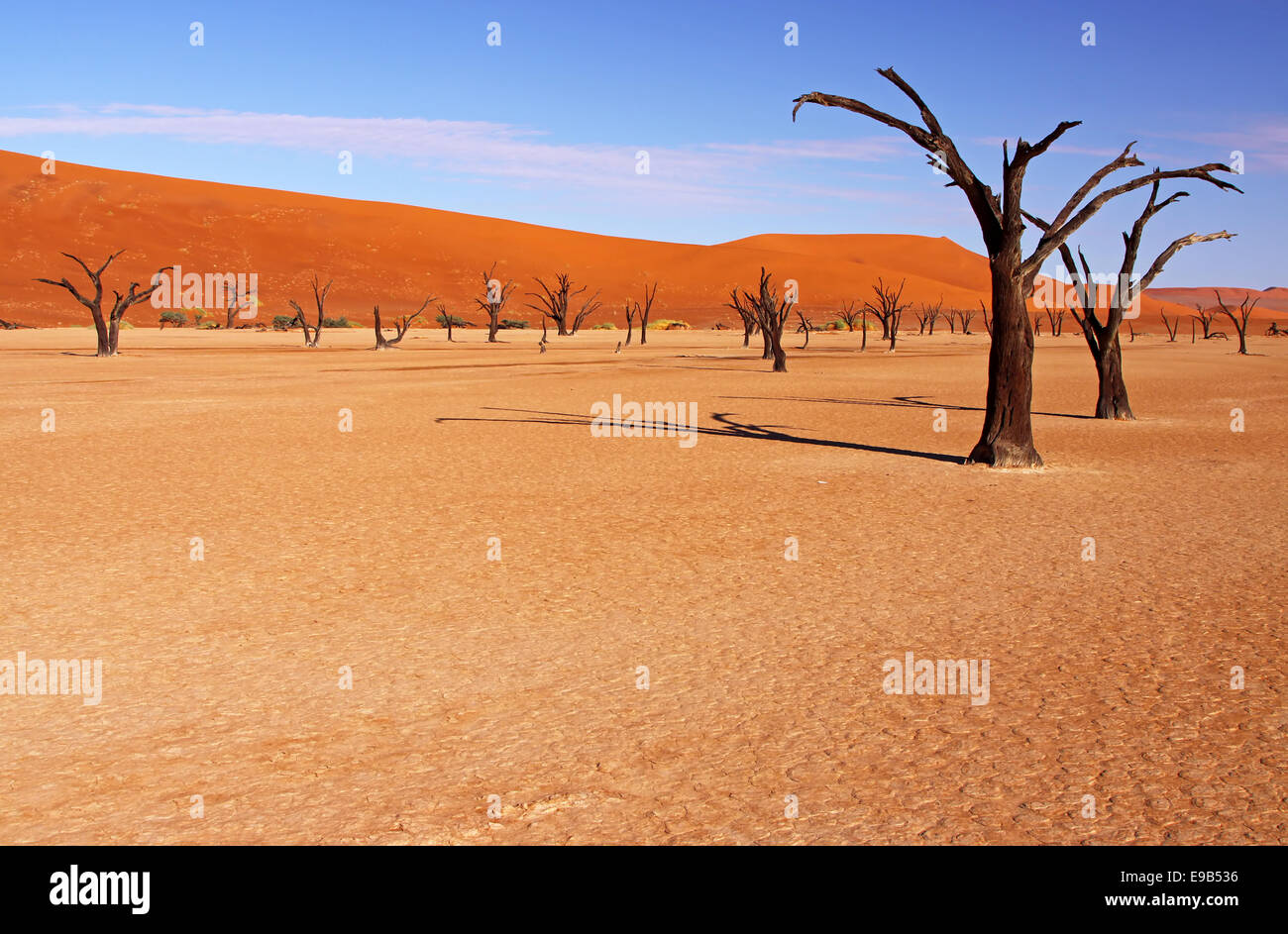 Dead vlei namib desert hi-res stock photography and images - Alamy