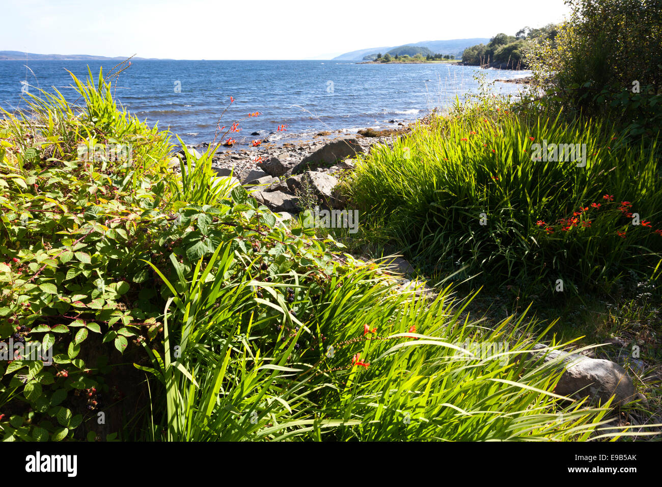 Barmore island hi-res stock photography and images - Alamy