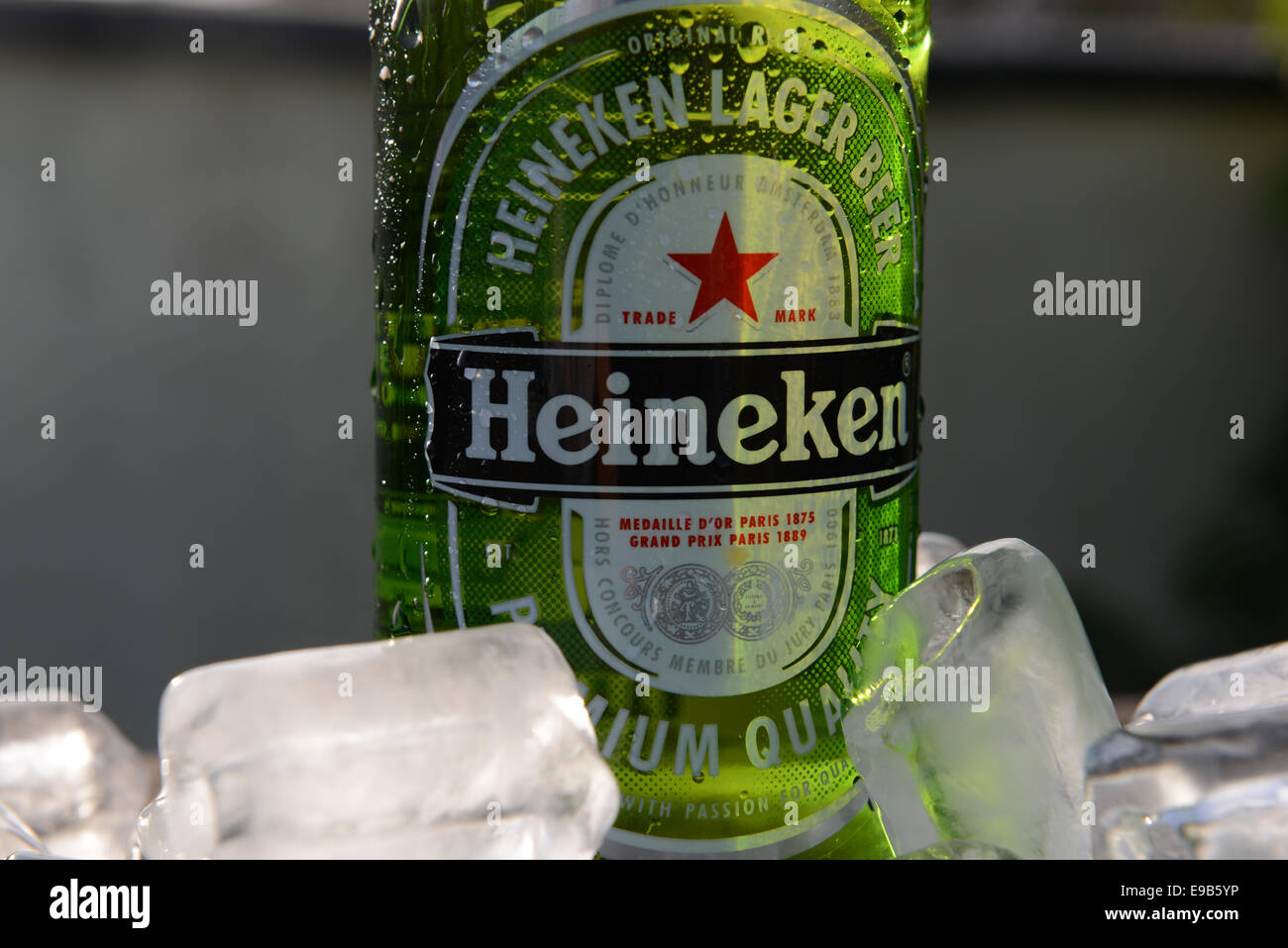 Heineken bottle on top of a picnic table surrounded with ice cubes ...