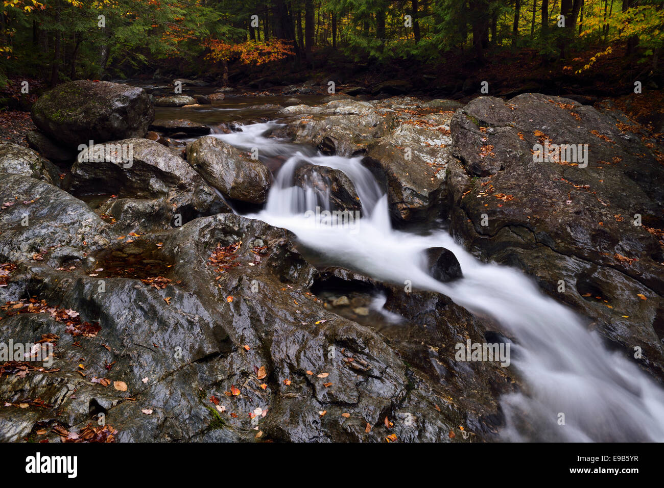 West Branch of the Waterbury River in the rain above Bingham Falls ...