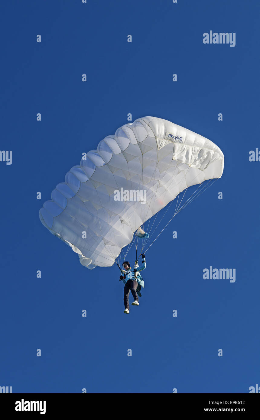 Parachutists - 2014. The girl skydiver landing under white parachute ...