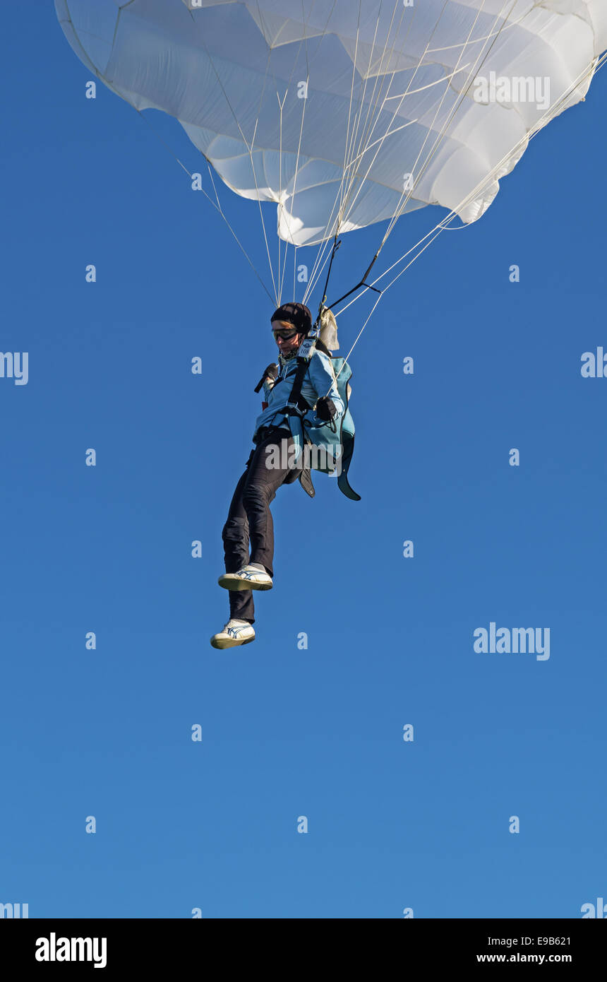 Parachutists - 2014. The girl skydiver landing under white parachute ...
