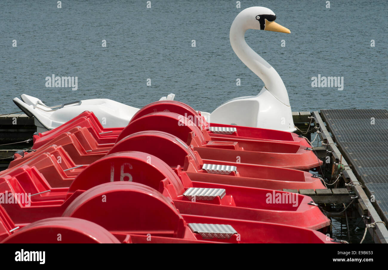 Swan sailing boats hi-res stock photography and images - Alamy