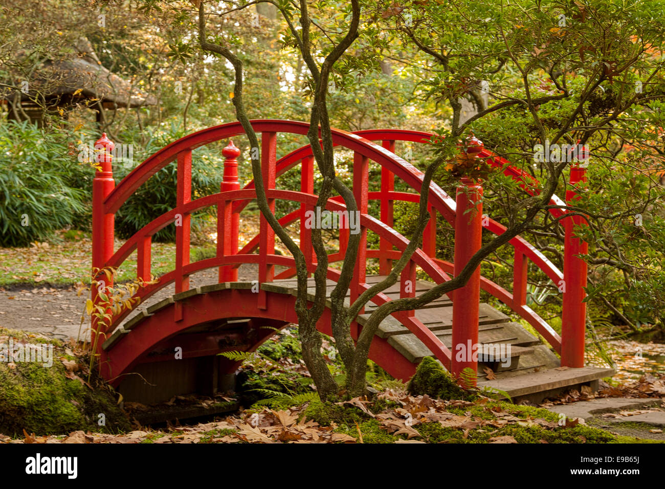 Red bench japanese garden hi-res stock photography and images - Alamy