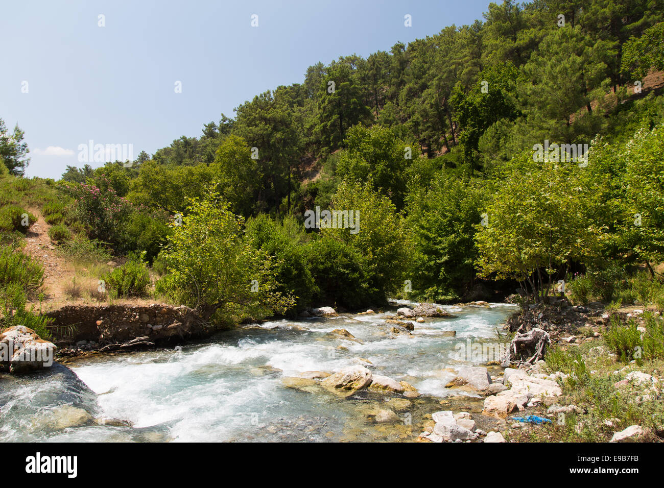 A River is flowing between forest Stock Photo - Alamy
