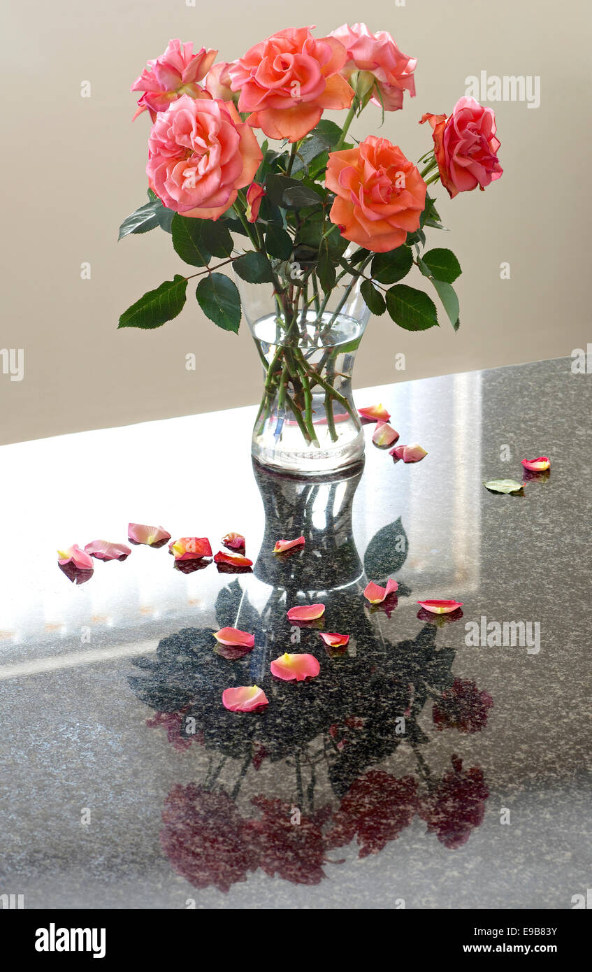 Pink roses in a glass vase with scattered petals reflected in a ...