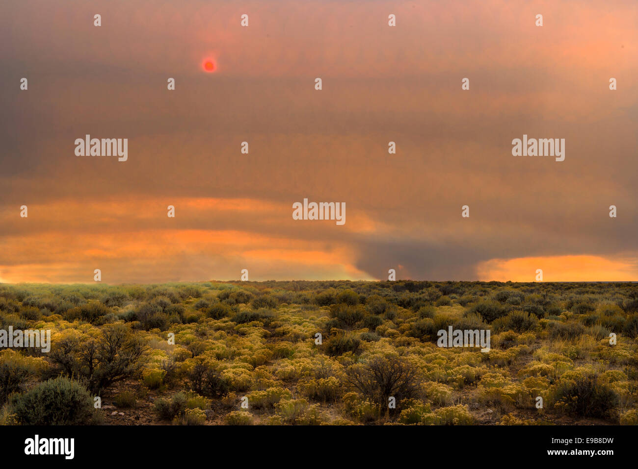 Fire tornado hi-res stock photography and images - Alamy