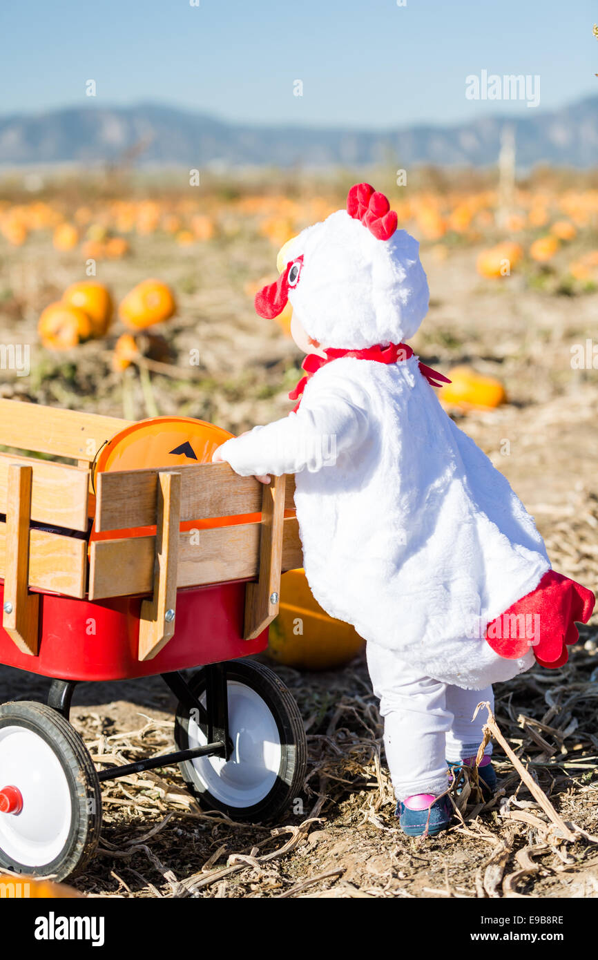 Cute kids in Halloween costumes at the pumpkin patch Stock Photo - Alamy