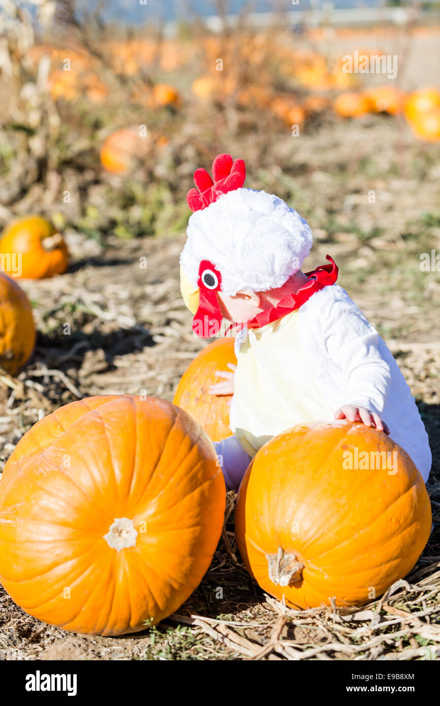 Cute kids in Halloween costumes at the pumpkin patch Stock Photo - Alamy