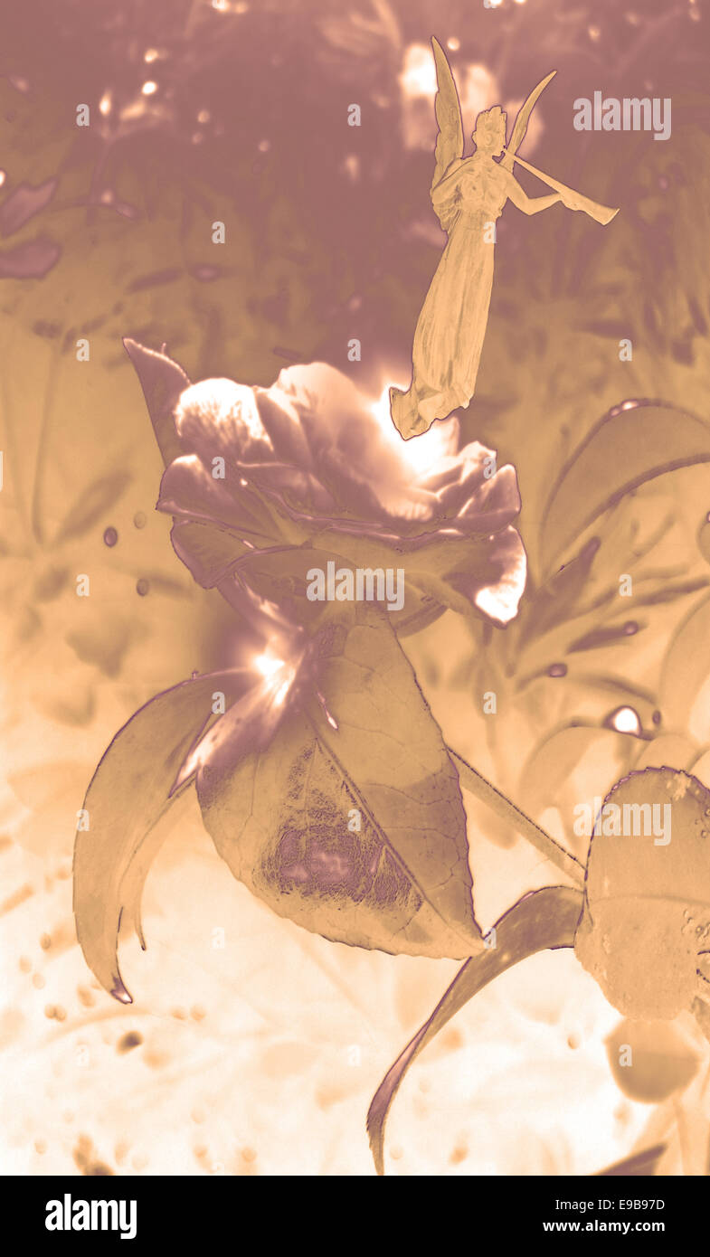 Fairy with trumpet hi-res stock photography and images - Alamy