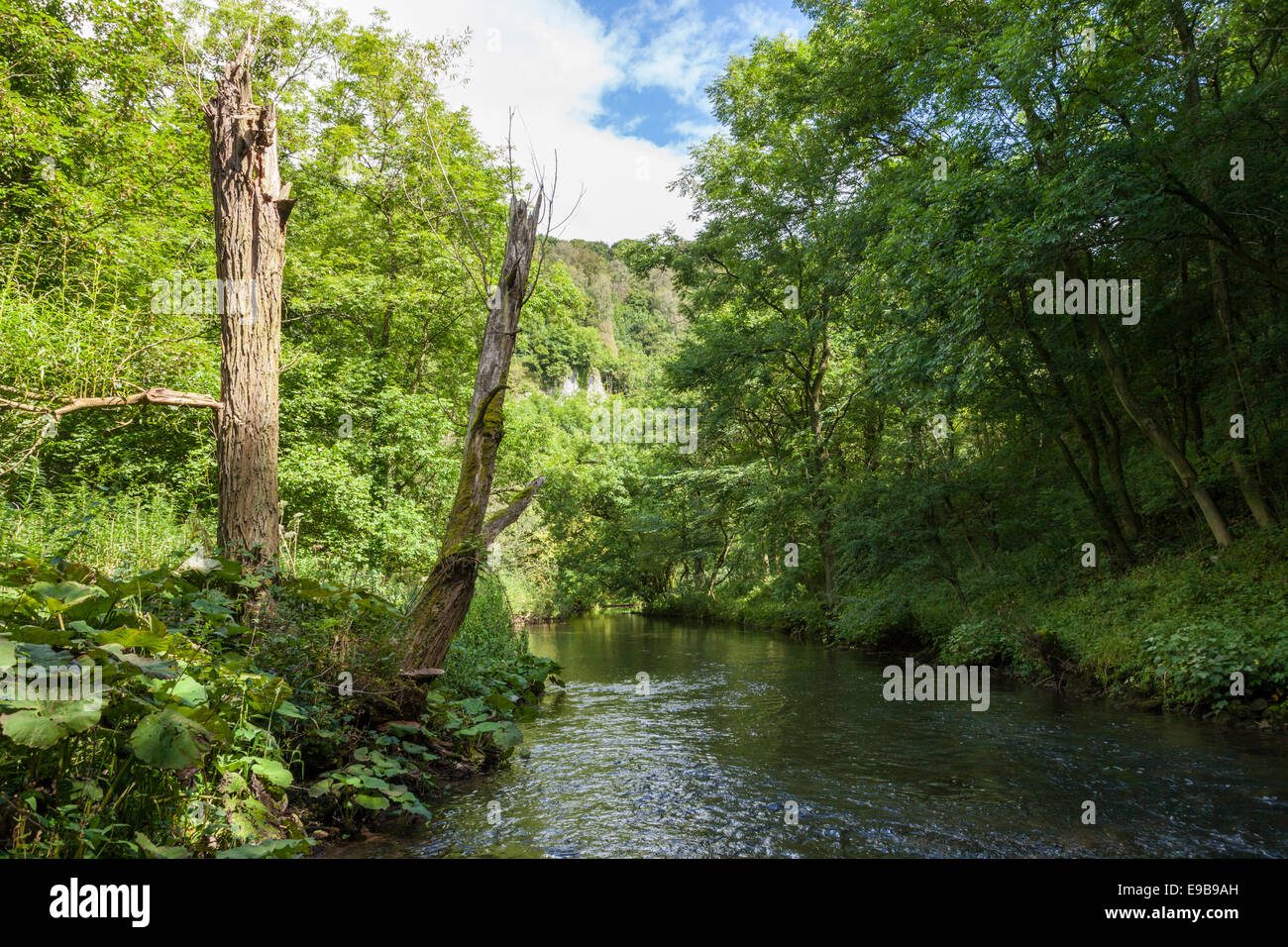 River Wye in Miller's Dale in the Derbyshire Dales, White Peak, Peak ...