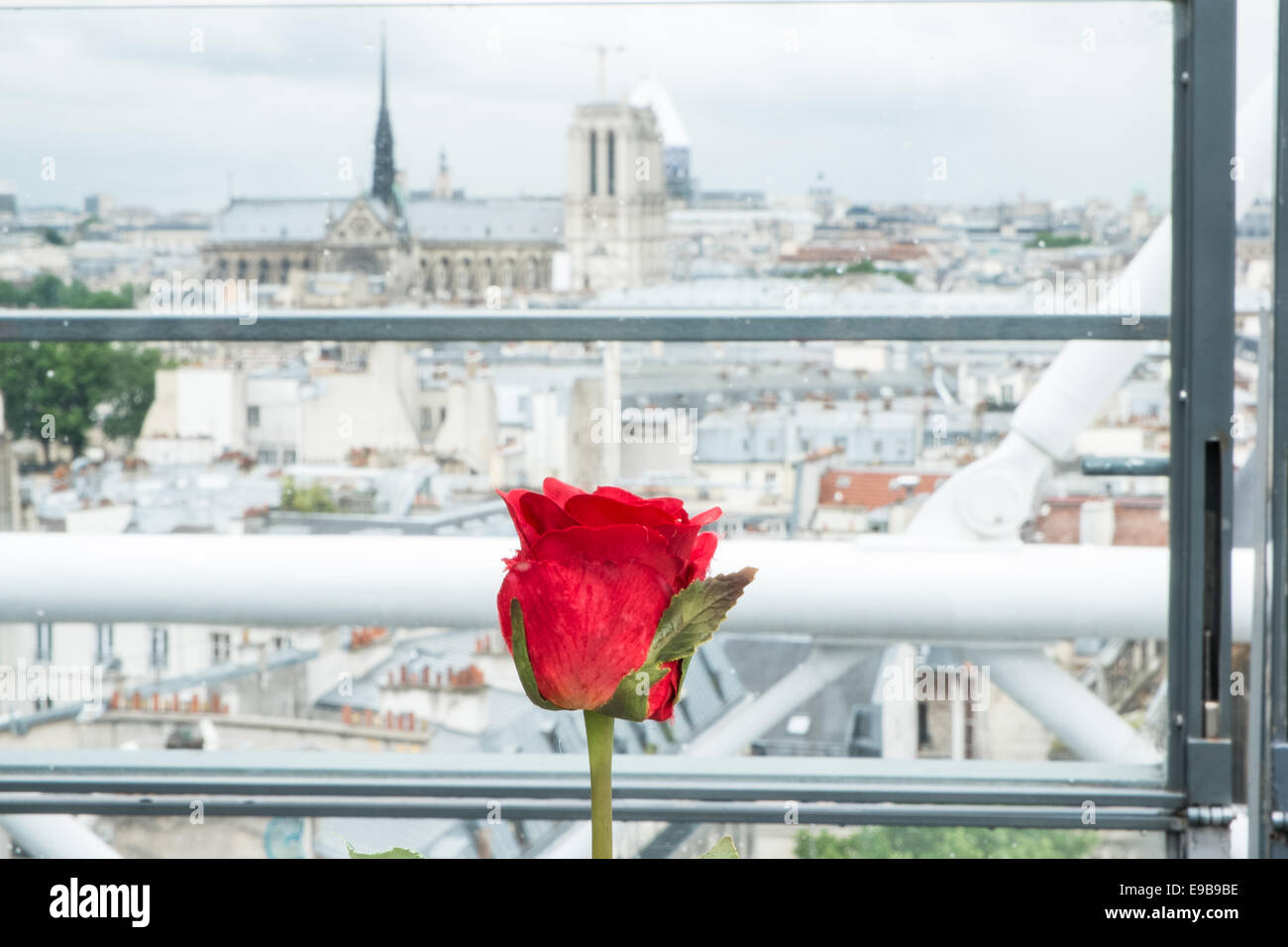 Romantic, date,setting, with red, roses, on tables, at this cafe ...