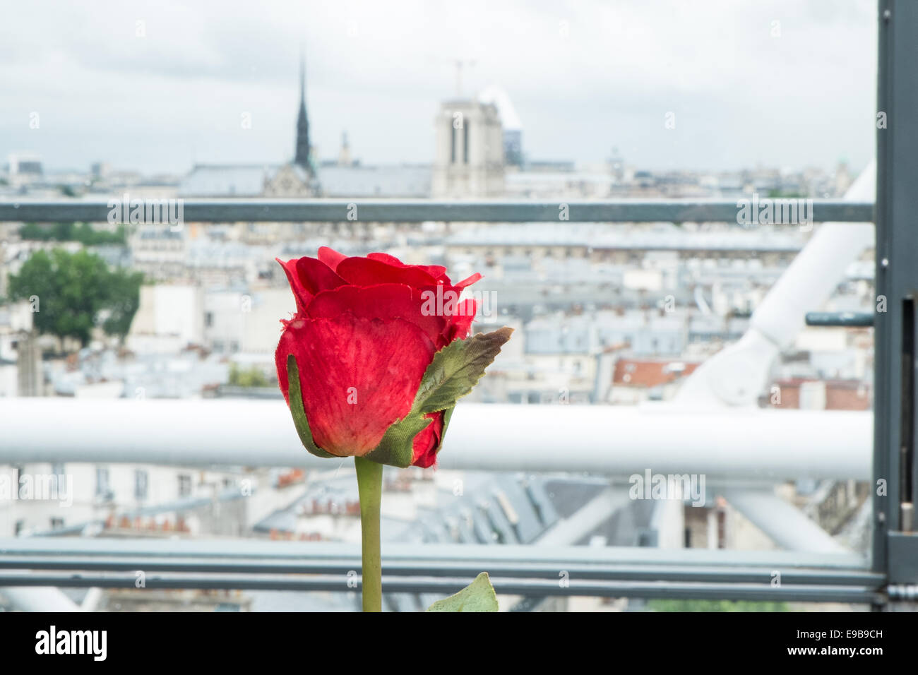 Romantic, date,setting, with red, roses, on tables, at this cafe ...