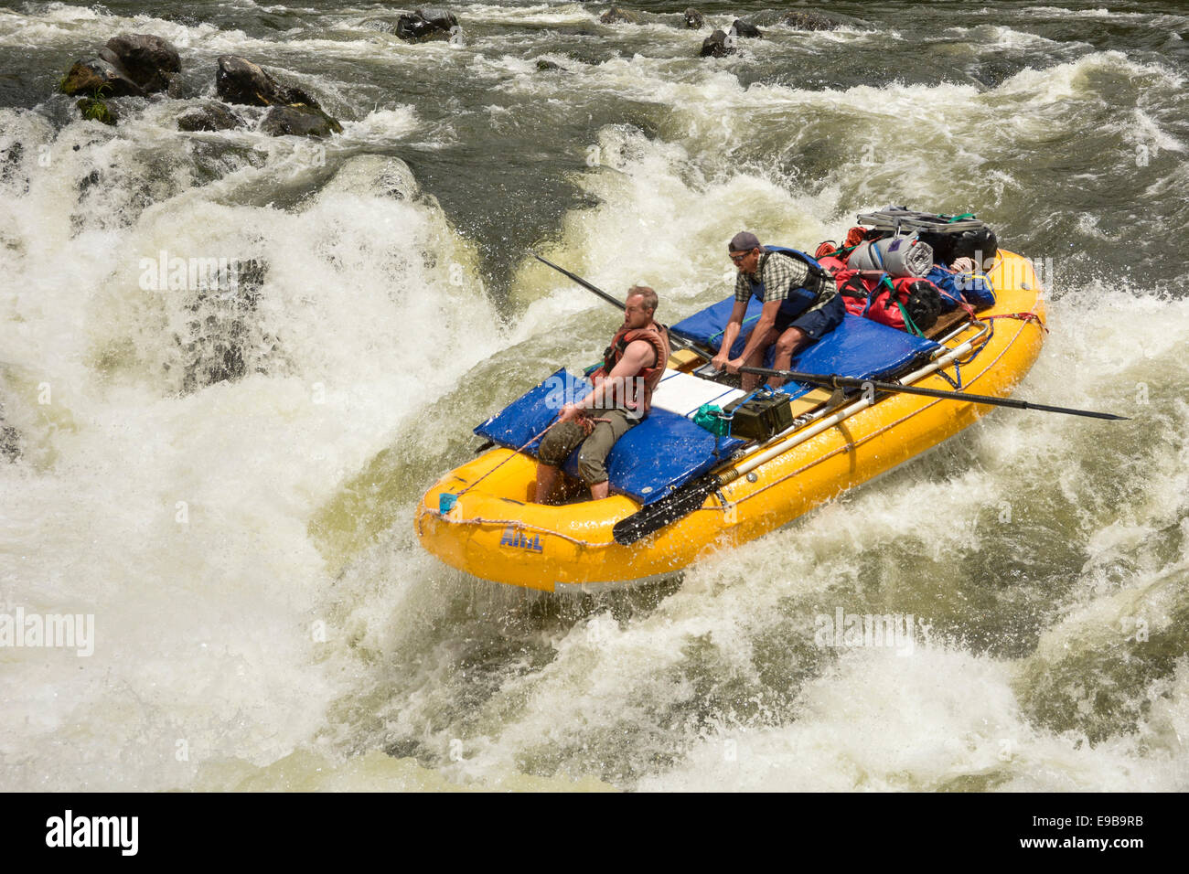 Whitewater rafting fun on the Wild & Scenic Rogue River in Oregon Stock ...