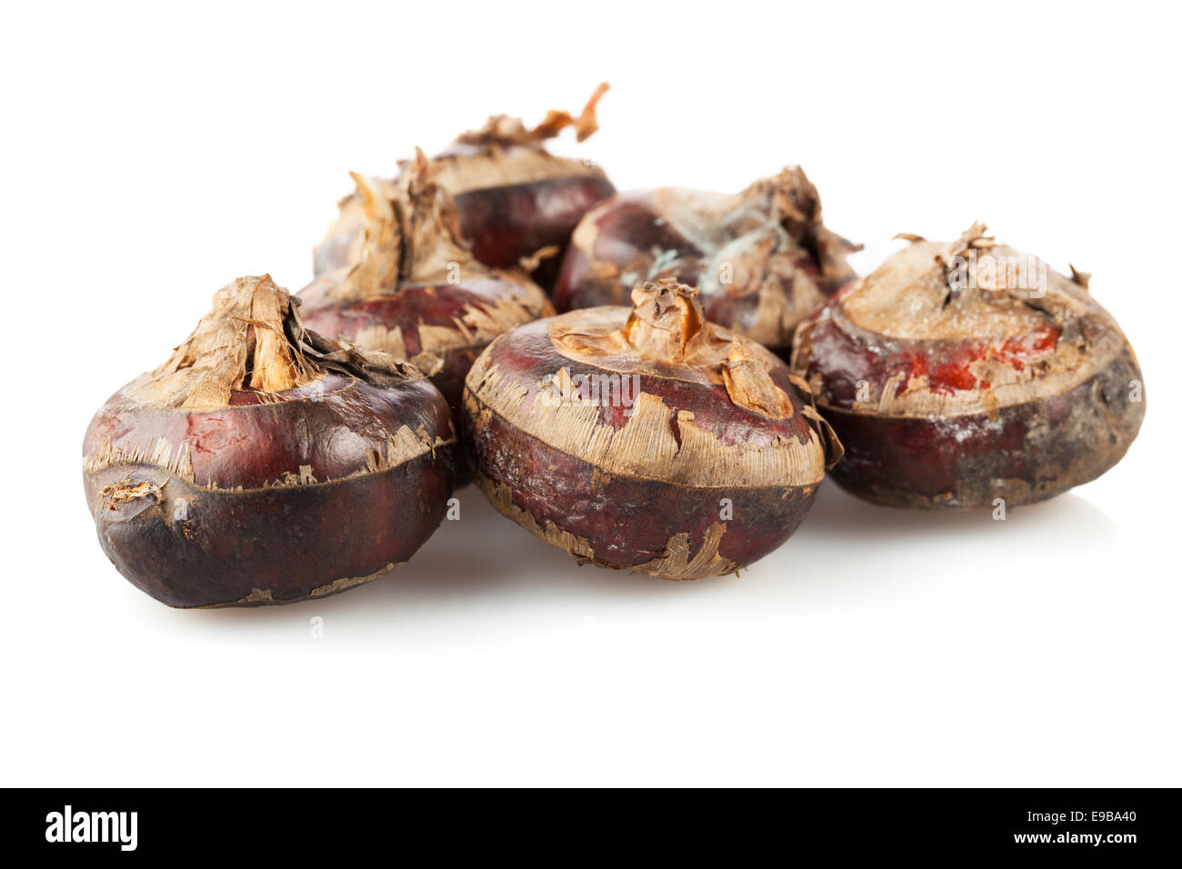 Group of fresh chestnuts isolated on white background Stock Photo - Alamy