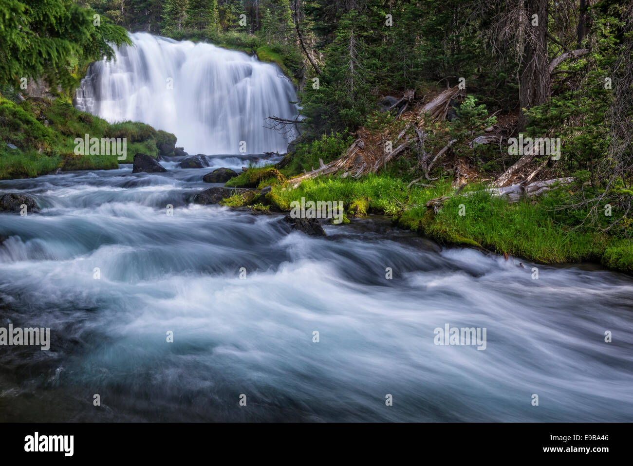 Fall Creek waterfall; Green Lakes Trail, Cascade Mountains, Central ...