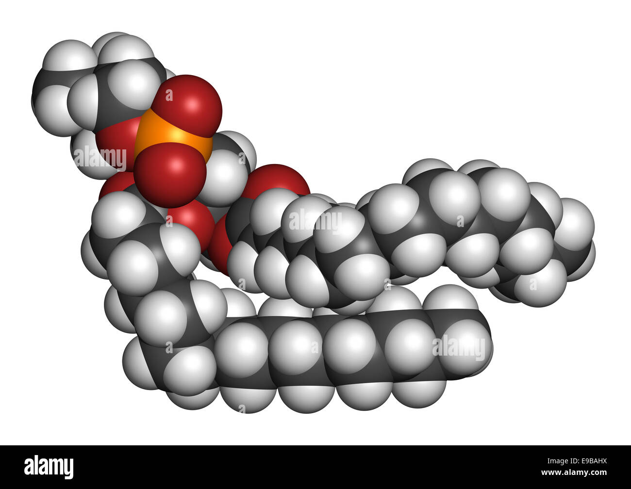 Pulmonary surfactant molecule. Chemical structure of ...
