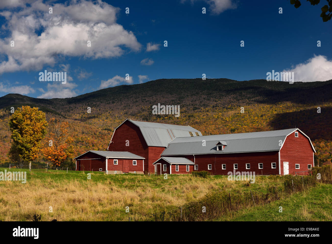 Red barn on Barnes Hill road with Fall colors at Stowe Hollow Vermont ...