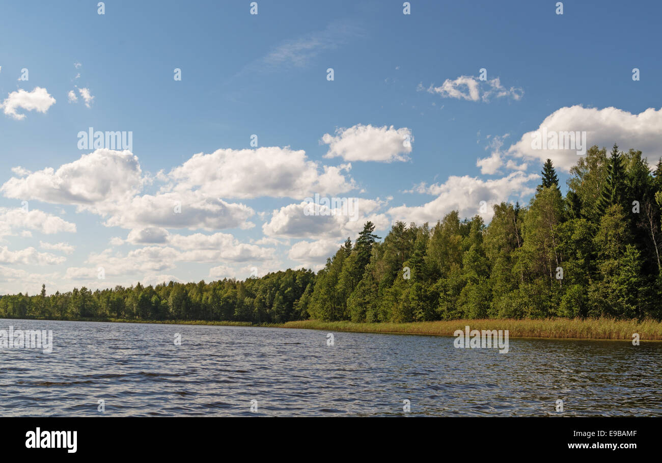 Summer lake landscape Stock Photo - Alamy