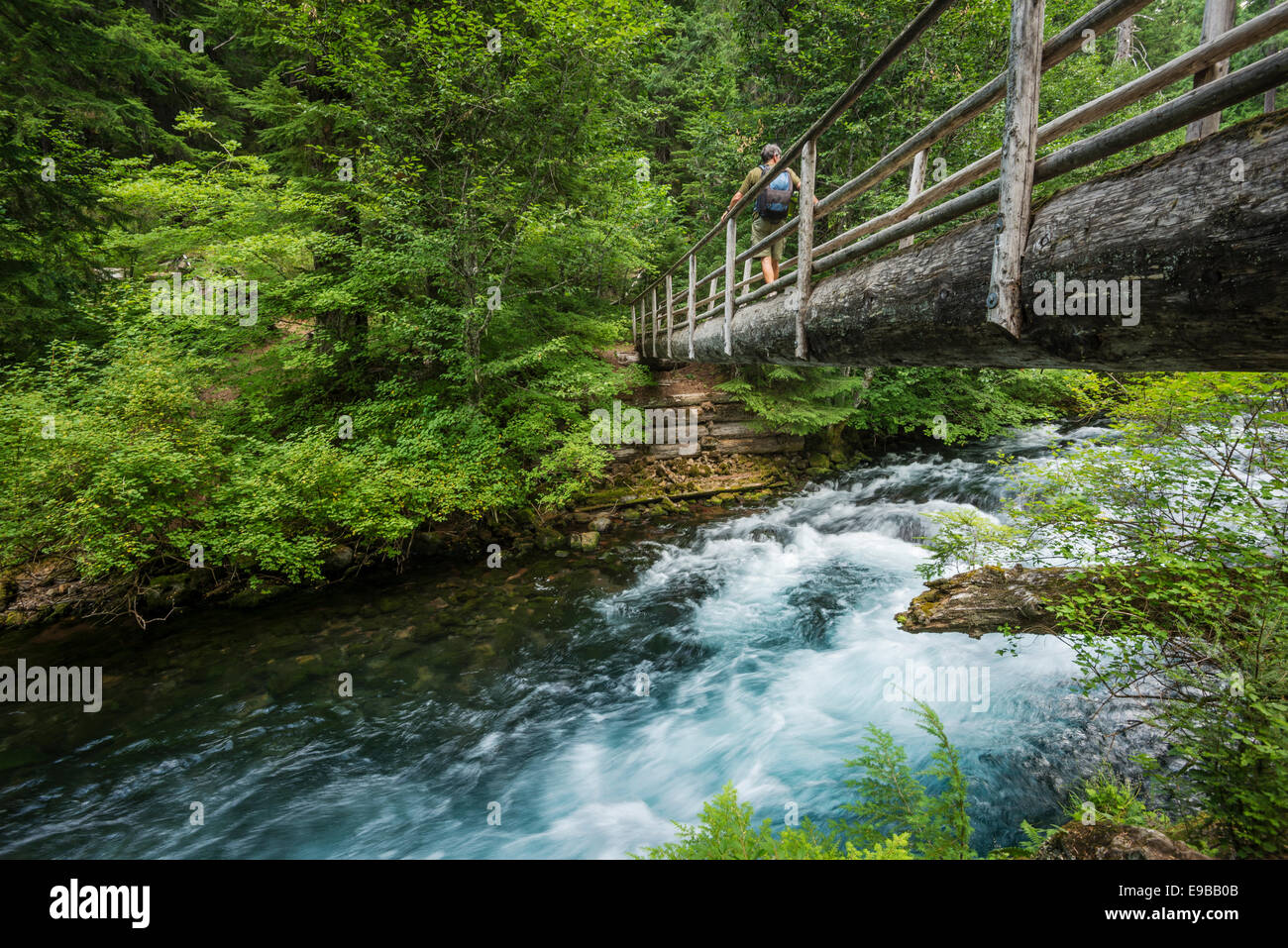 Hiking mckenzie river hi-res stock photography and images - Alamy