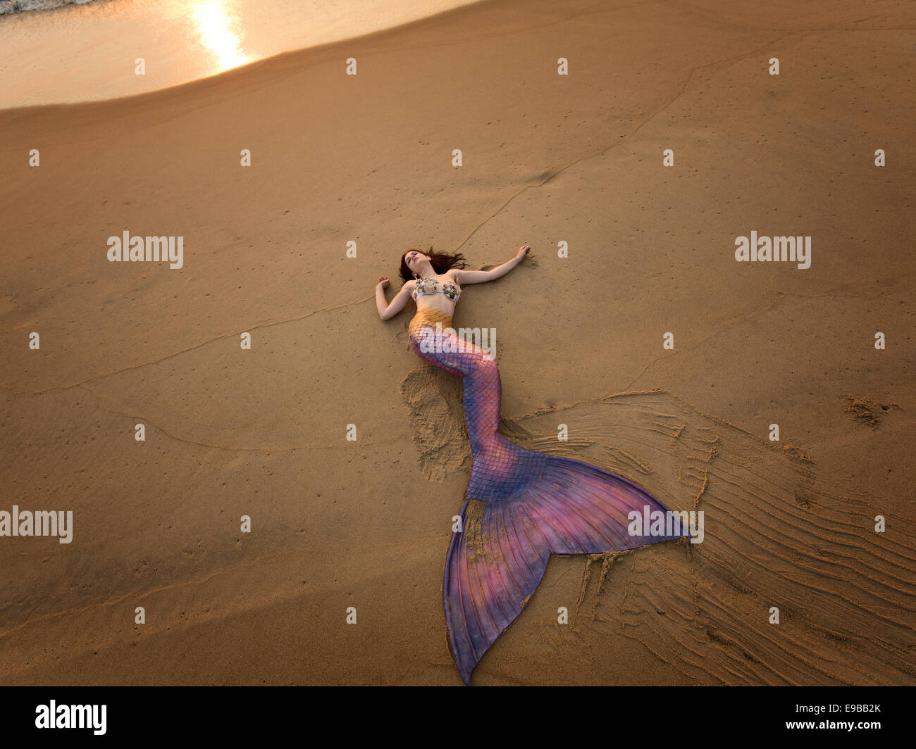 Fluke silicone hi-res stock photography and images - Alamy